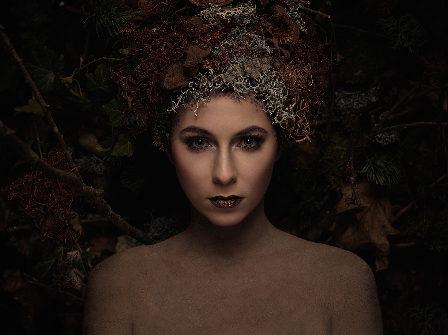 .. forest .. michael mueller photography ..michael mueller photography